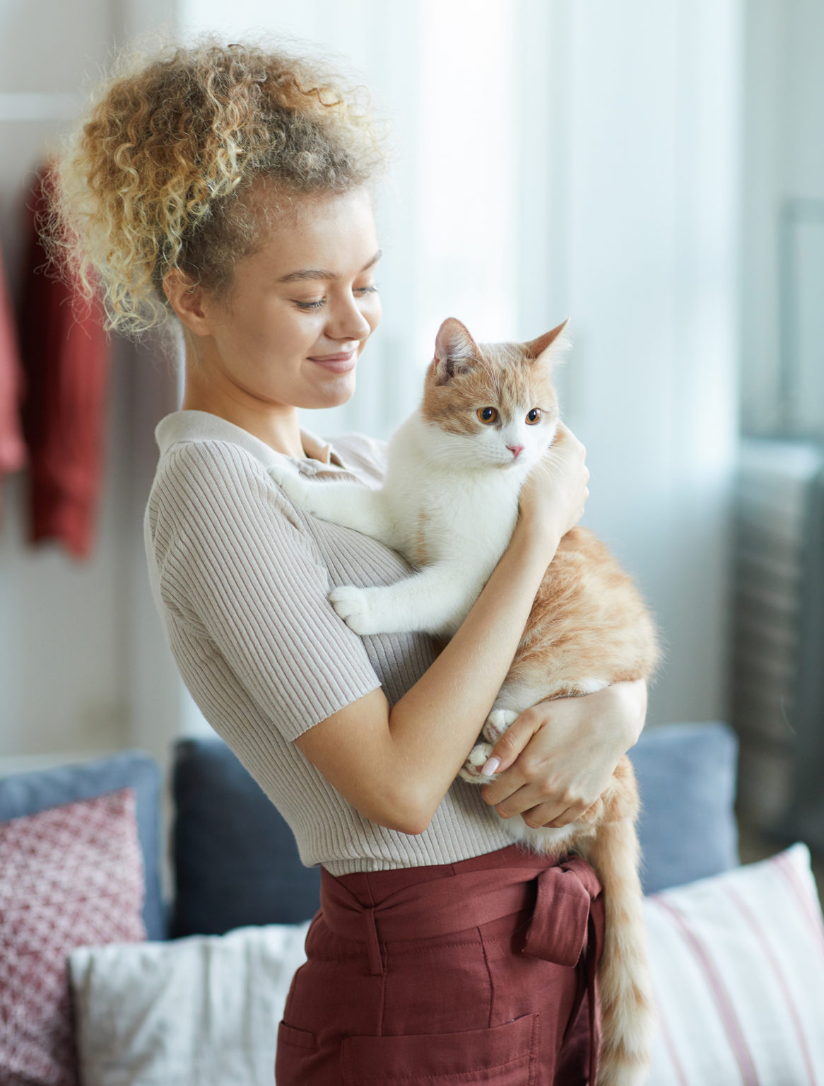 How to hold a Cat - Friends with Tales