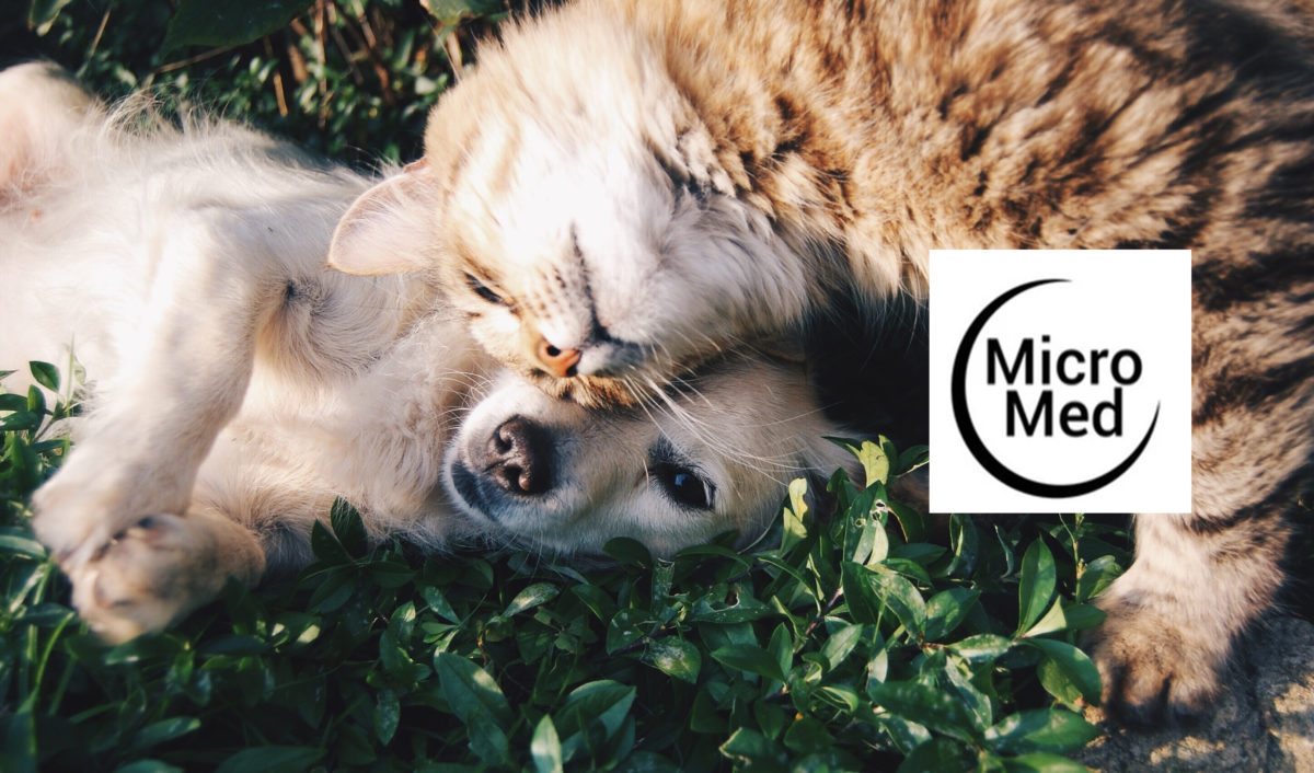 Micromed - Probiotic Spray Treatment for Dogs, Cats, and Horses ...